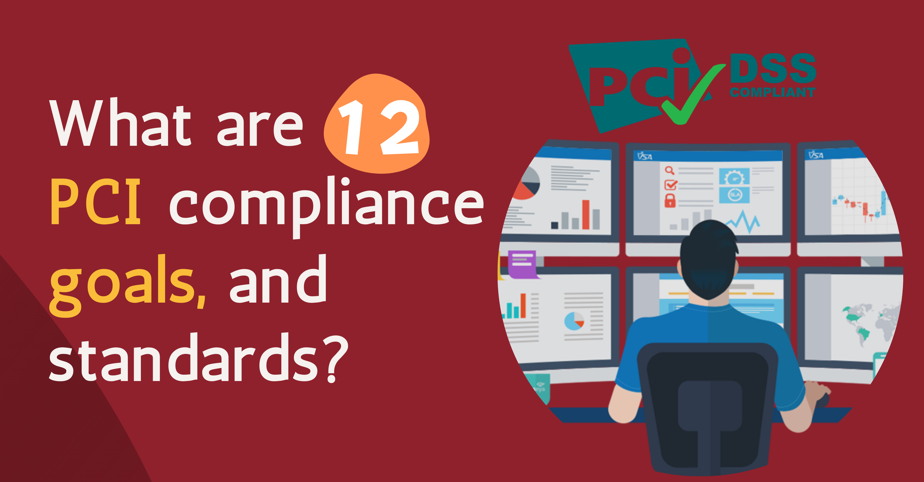 What are 12 PCI compliance goals, and standards?
